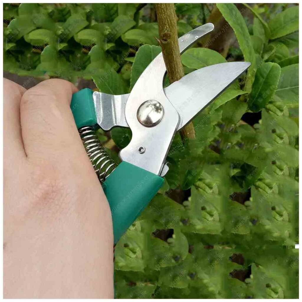 Garden Scissor 7.3 Inch | Sharp Pruning Cutter | Implemental