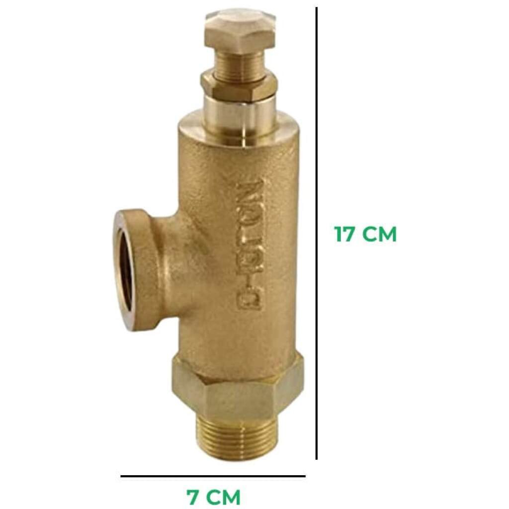 Bronze Spring Angle Relief Safety Valve-1Inch