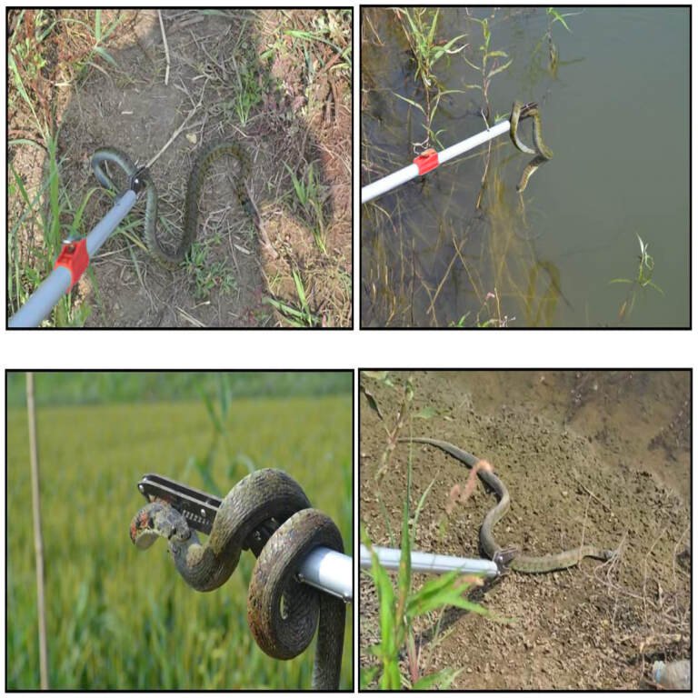 Snake Catcher Aluminum + metal 3.5Feet to 5Feet